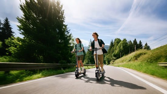 Electric Scooter Store – Ruitoo EU